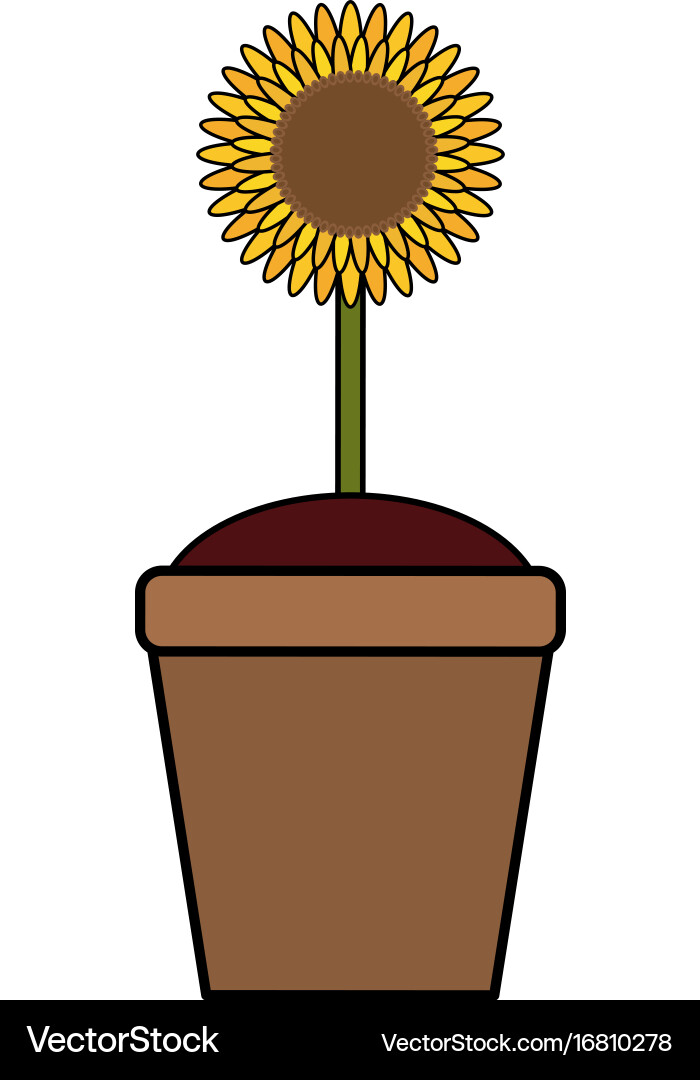 Beautiful flower in pot Royalty Free Vector Image