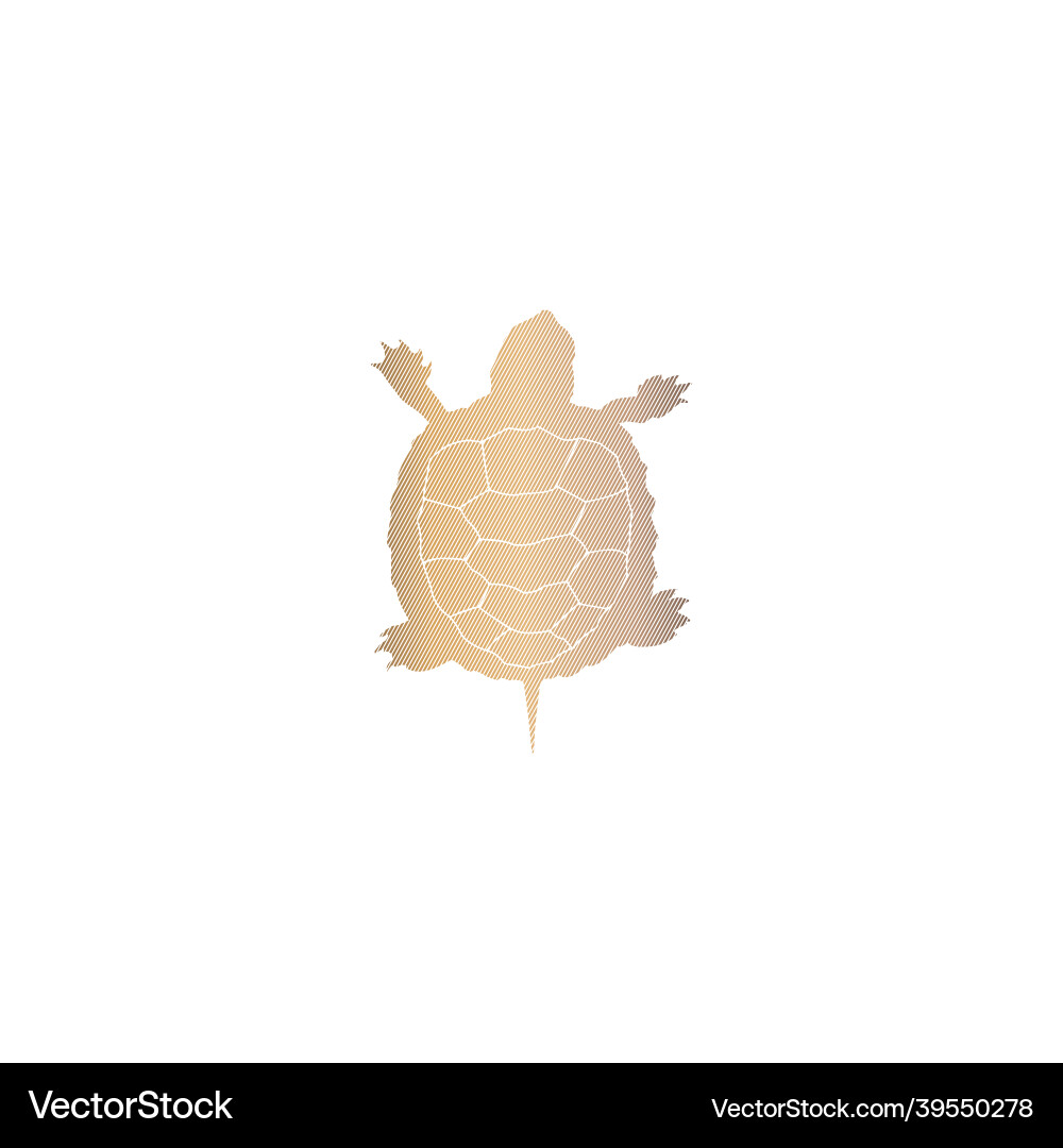 Tortoise logo design template inspiration Vector Image