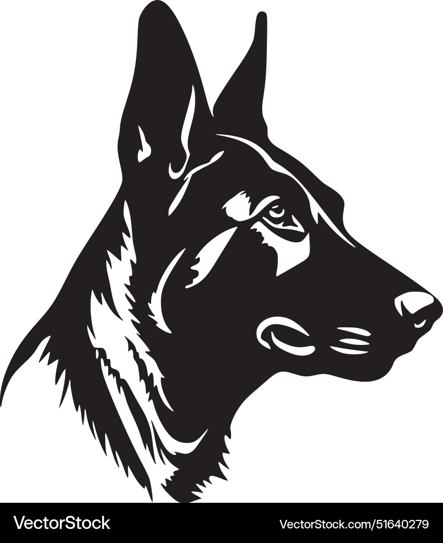 Australian kelpie - black and white isolated icon Vector Image
