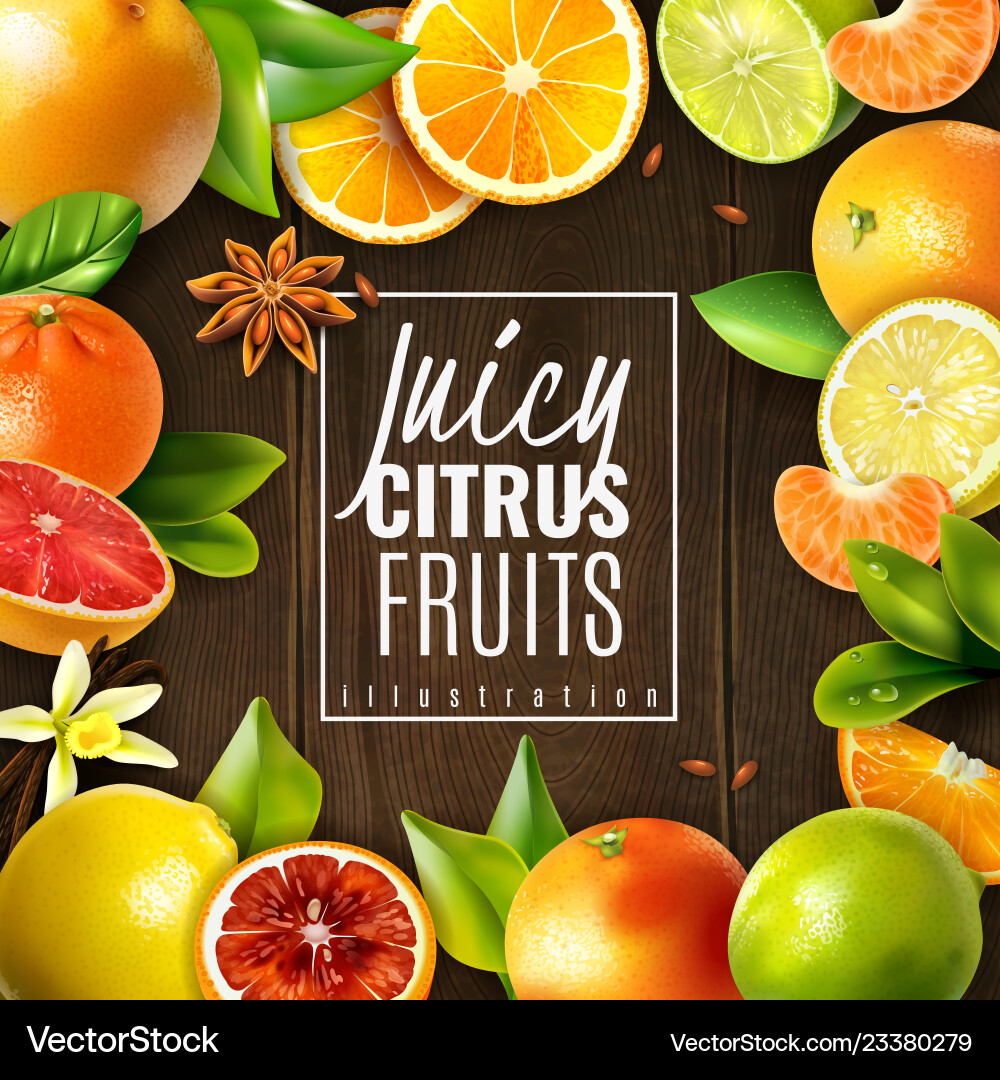 Citrus fruit background Royalty Free Vector Image