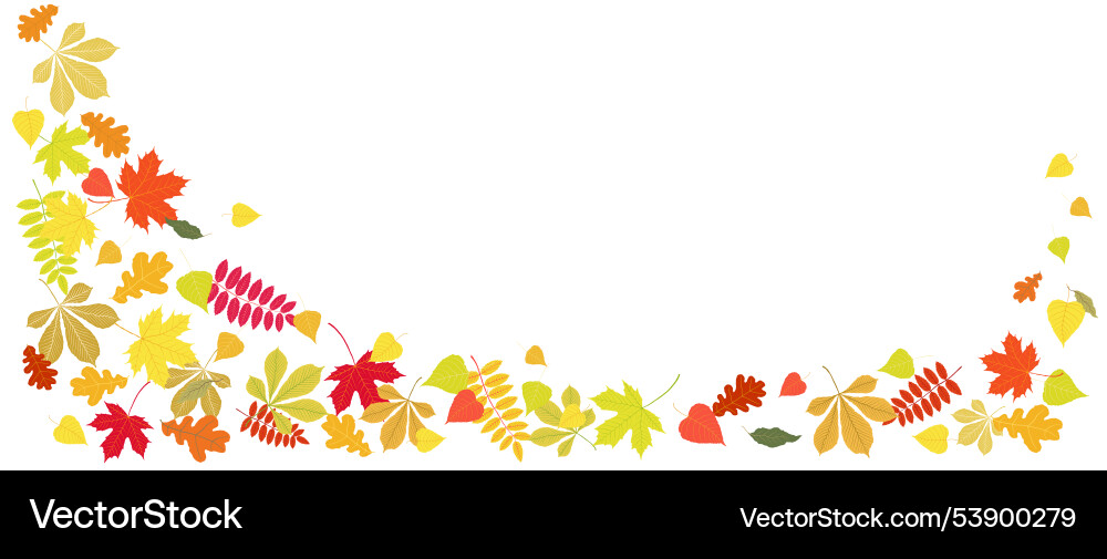 Falling autumn leaves on white background Vector Image
