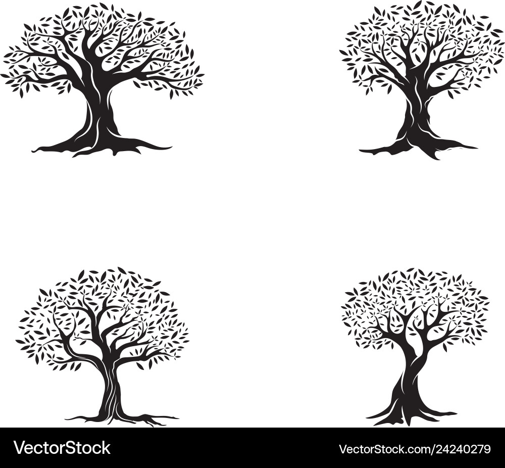 Olive Branch Symbol Royalty Free Vector Image - VectorStock