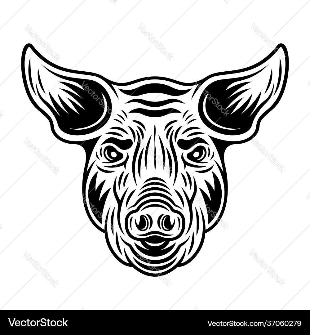 Pig head front view monochrome Royalty Free Vector Image