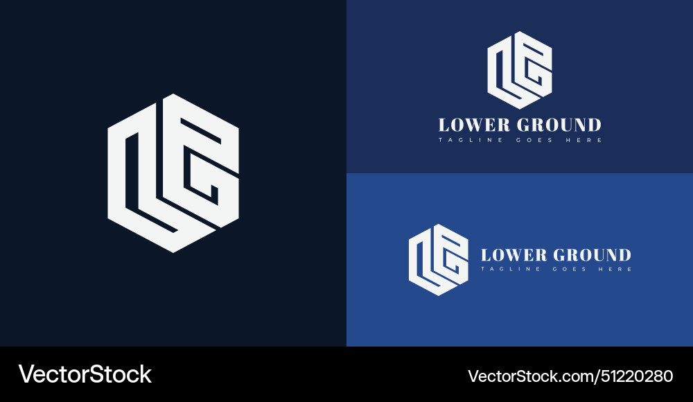 Abstract initial hexagon letter lg or gl logo Vector Image