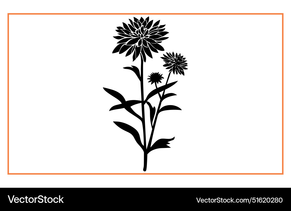 Best aster flower icon silhouette Royalty Free Vector Image