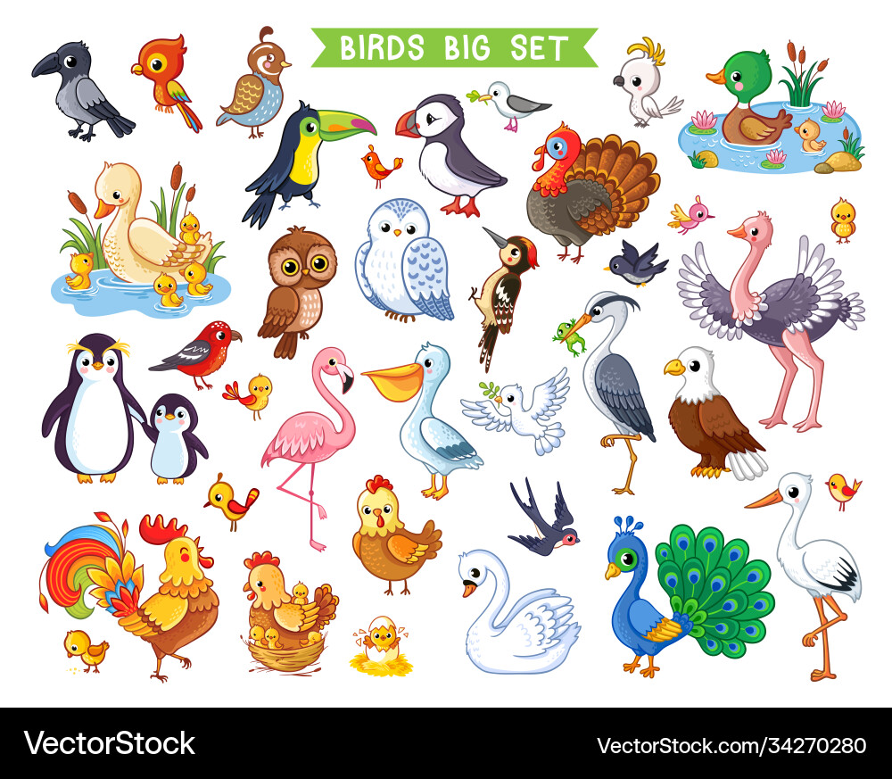 Cartoon Bird Set – Diverse Avian Collection Vector Image