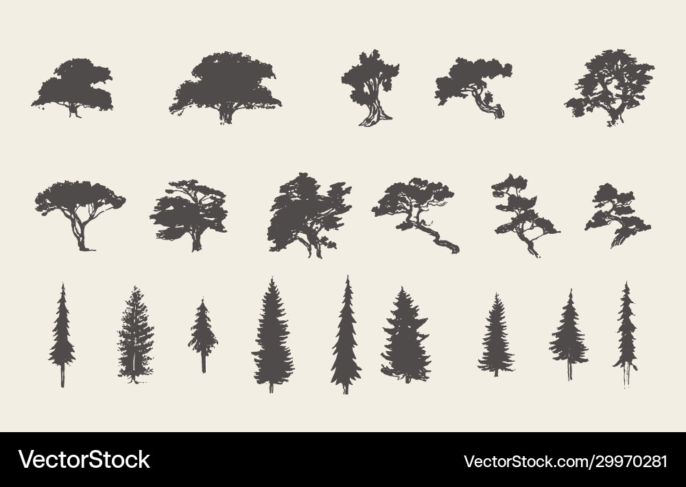Cedar Tree Outline Vector Images (over 1,800)
