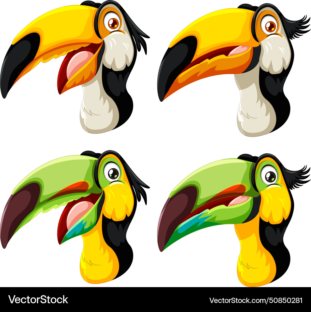 Four vibrant toucan head in format Royalty Free Vector Image