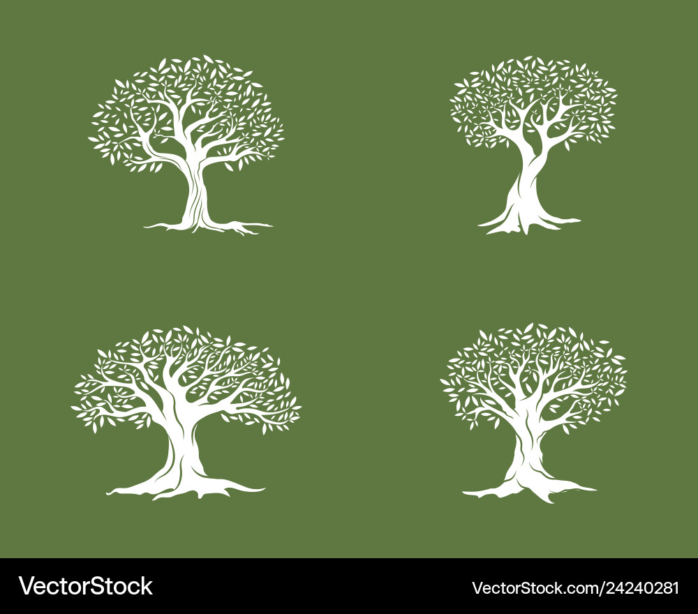 Olive tree Royalty Free Vector Image - VectorStock