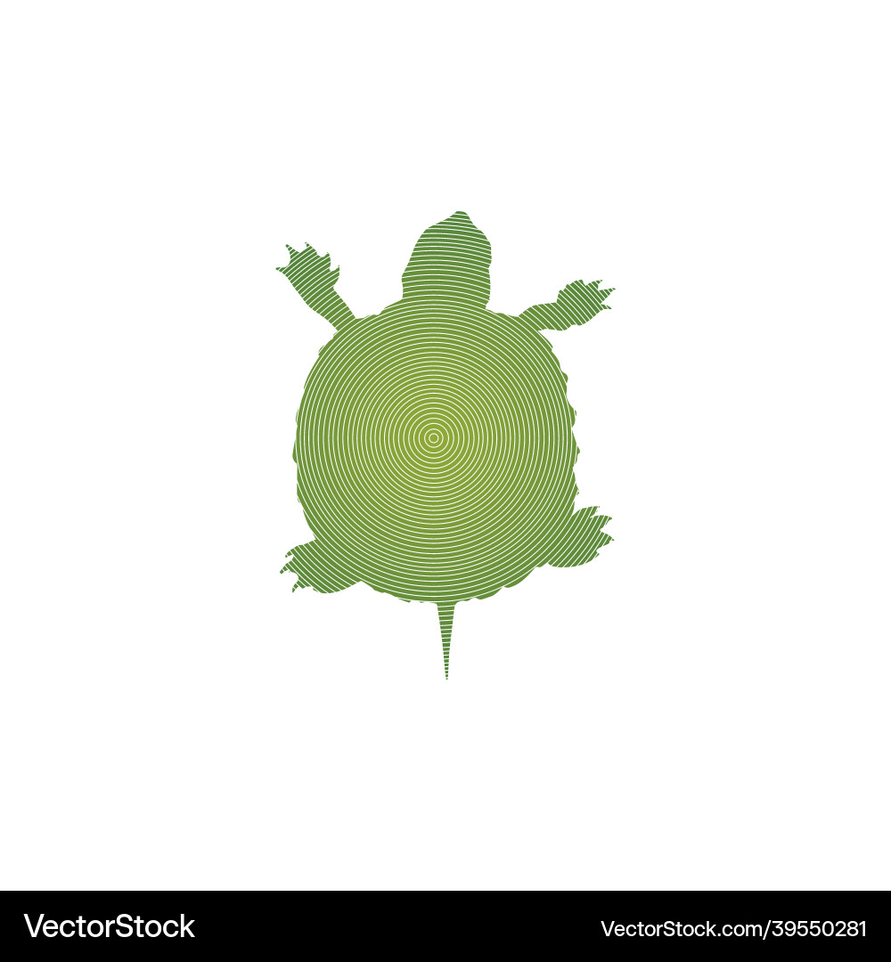 Tortoise logo design template inspiration Vector Image