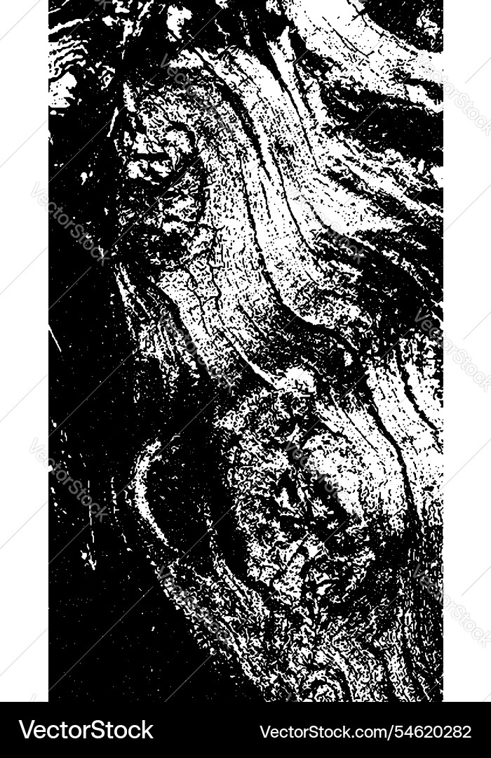Black tree bark texture on a white Royalty Free Vector Image
