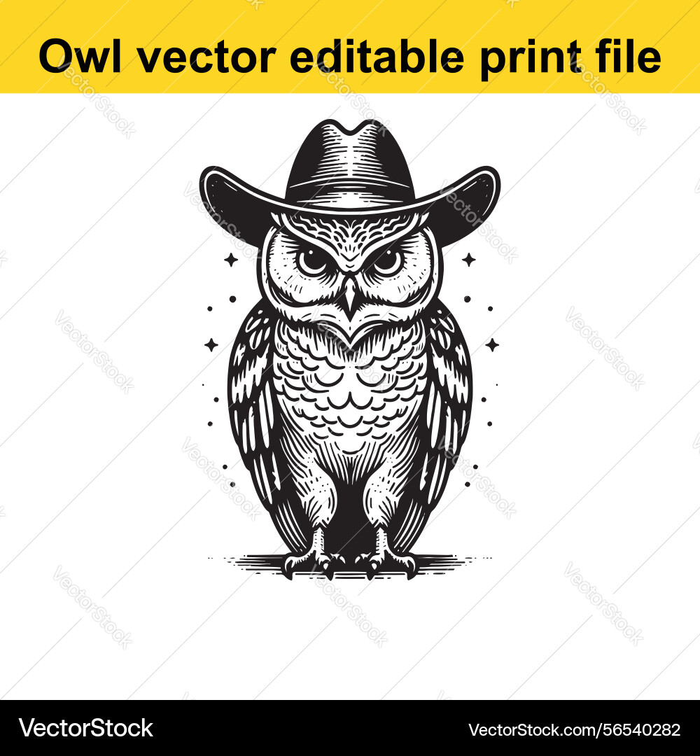 Owl wearing cowboy hat Royalty Free Vector Image