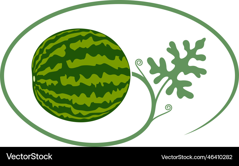 Watermelon Royalty Free Vector Image - VectorStock