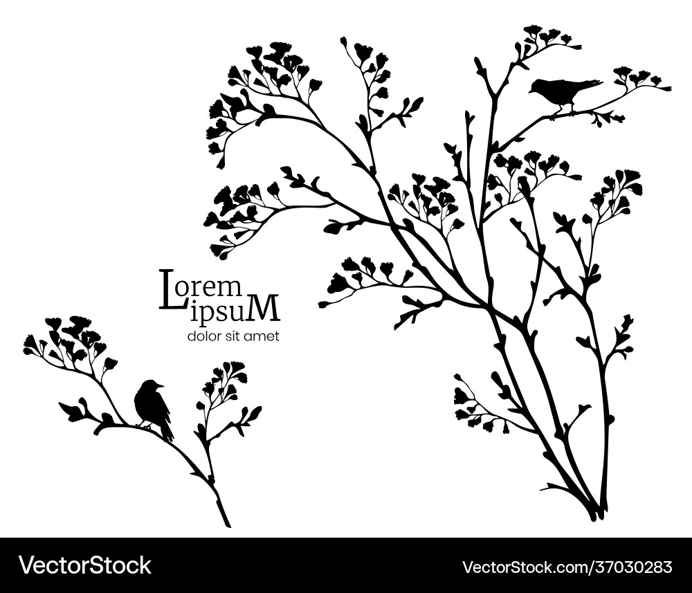 Black silhouette spring flowering branches Vector Image