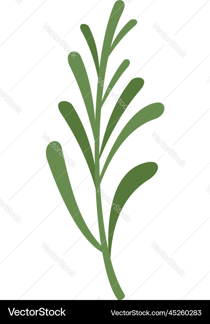 Rosemary icon flat herb plant Royalty Free Vector Image