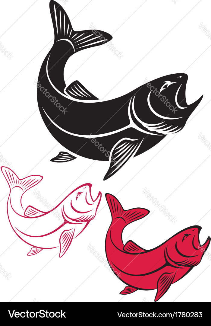 Trout Royalty Free Vector Image - VectorStock