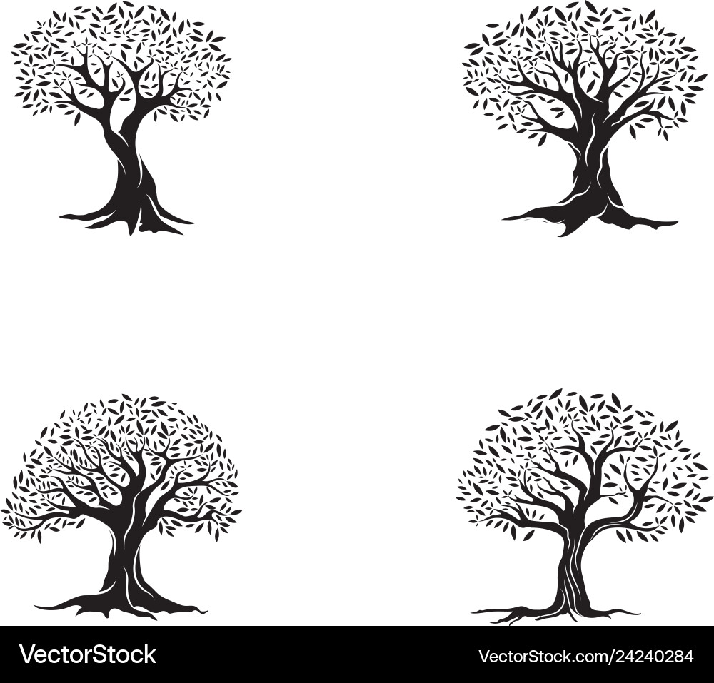 Olive Tree Motif Royalty Free Vector Image - VectorStock