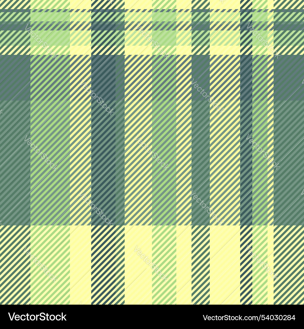 Performance plaid check panjabi fabric texture Vector Image