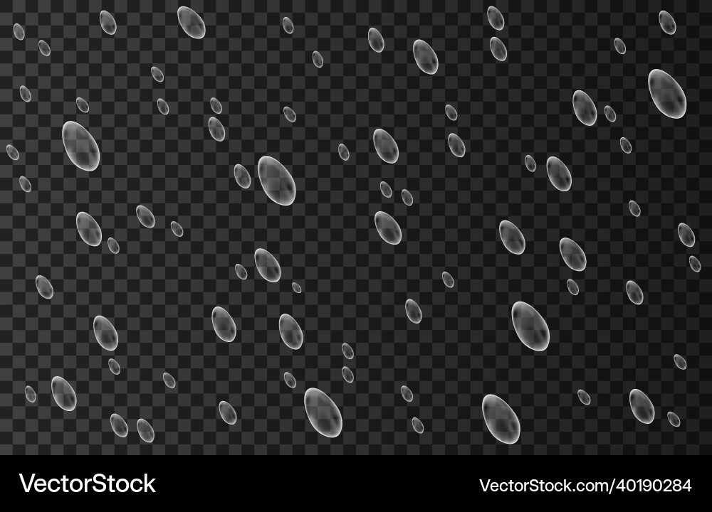 Rain drops isolated on transparent background Vector Image