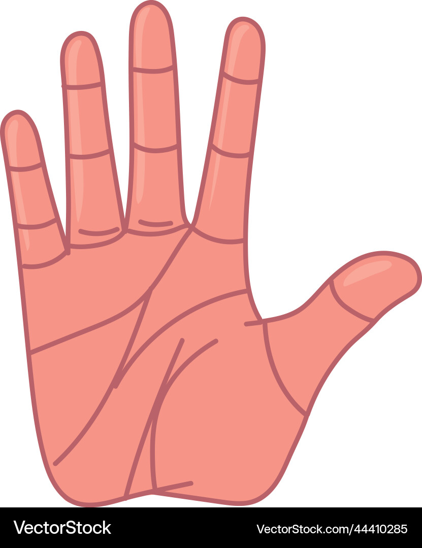 Human hand open Royalty Free Vector Image - VectorStock