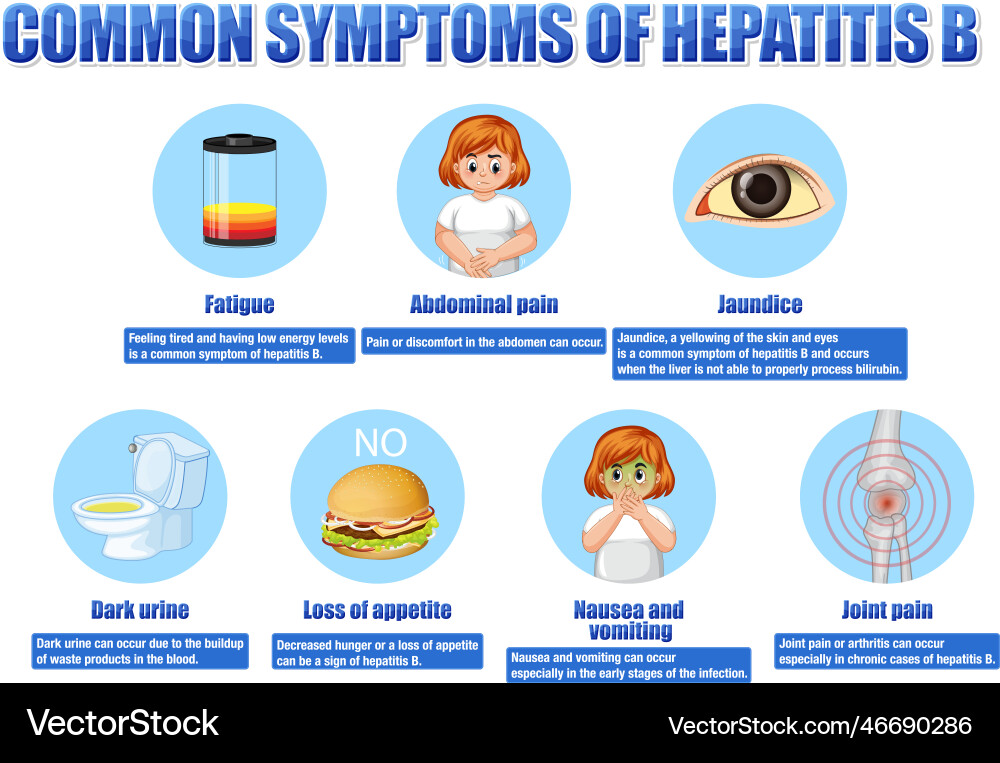 Informative poster of common symptoms hepatitis b Vector Image