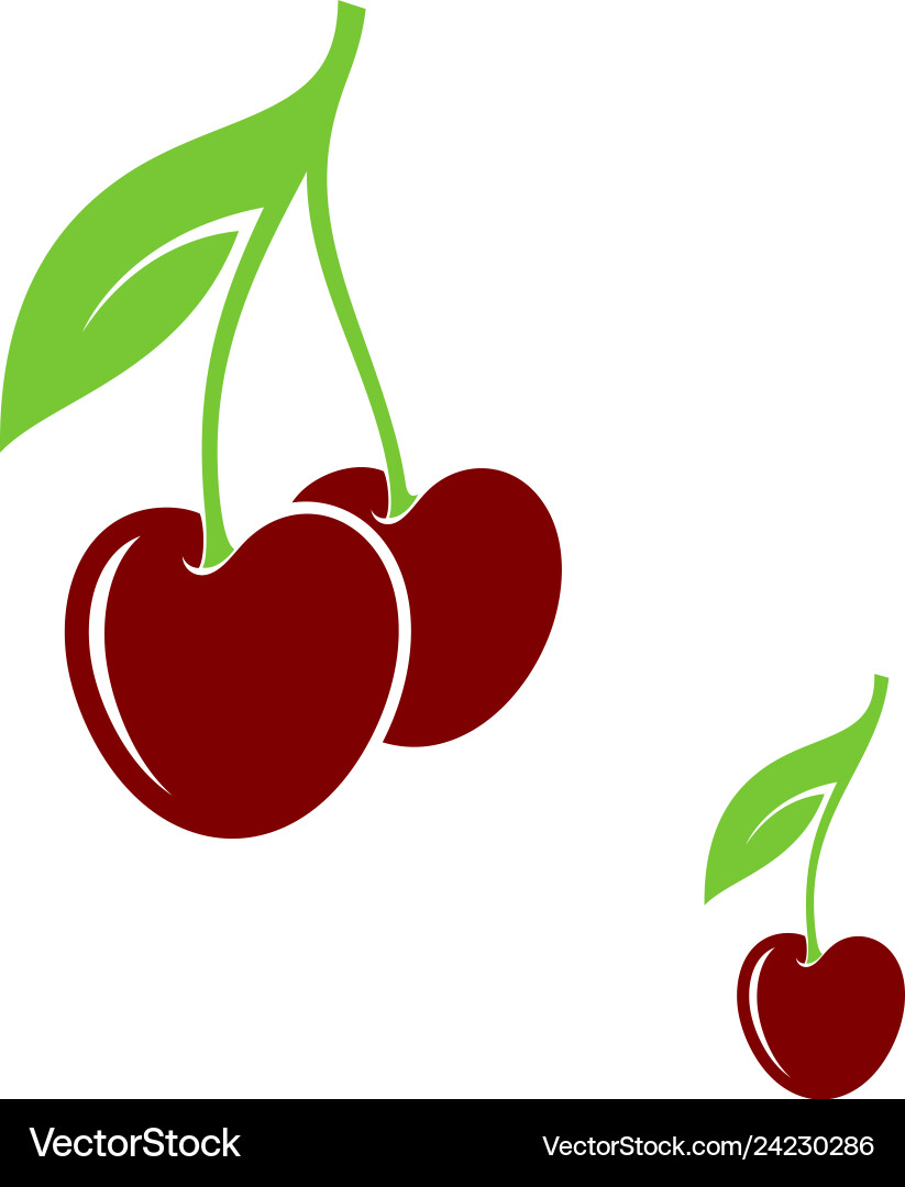 Red cherry Royalty Free Vector Image - VectorStock