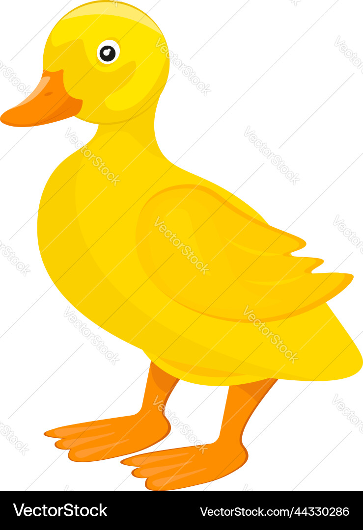 Yellow duck on a white background Royalty Free Vector Image