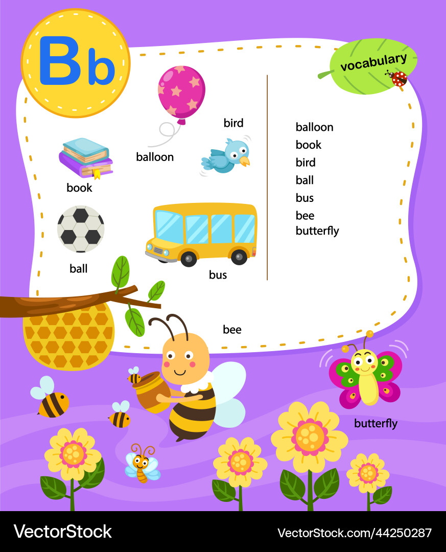 Alphabet letter b education vocabulary Royalty Free Vector