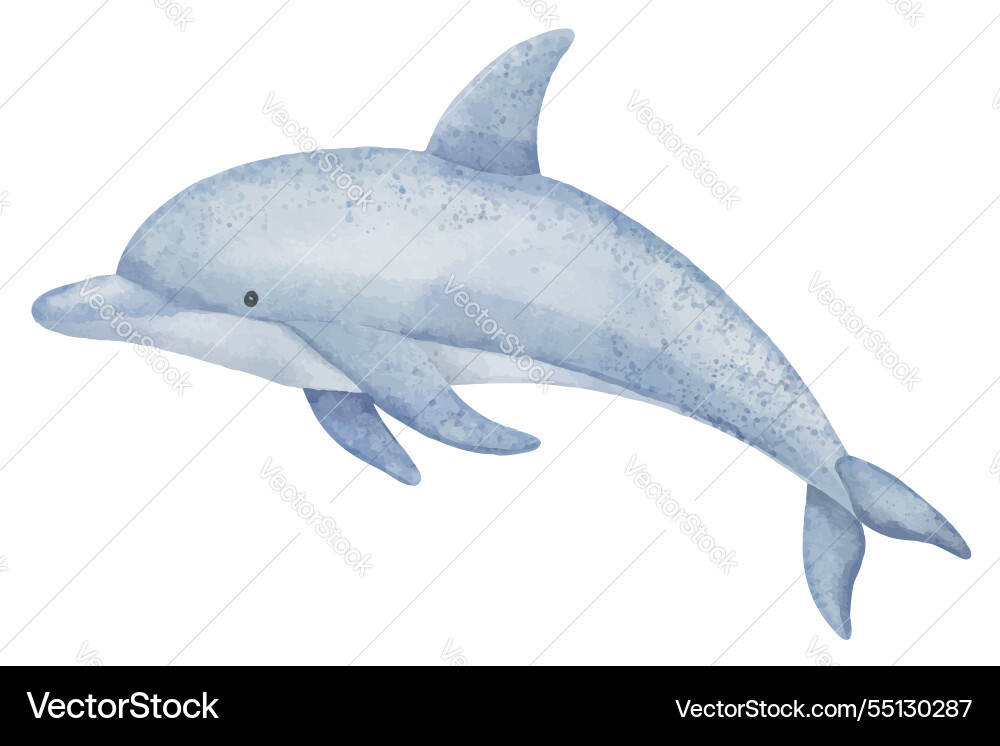 Dolphin watercolor in pastel blue Royalty Free Vector Image