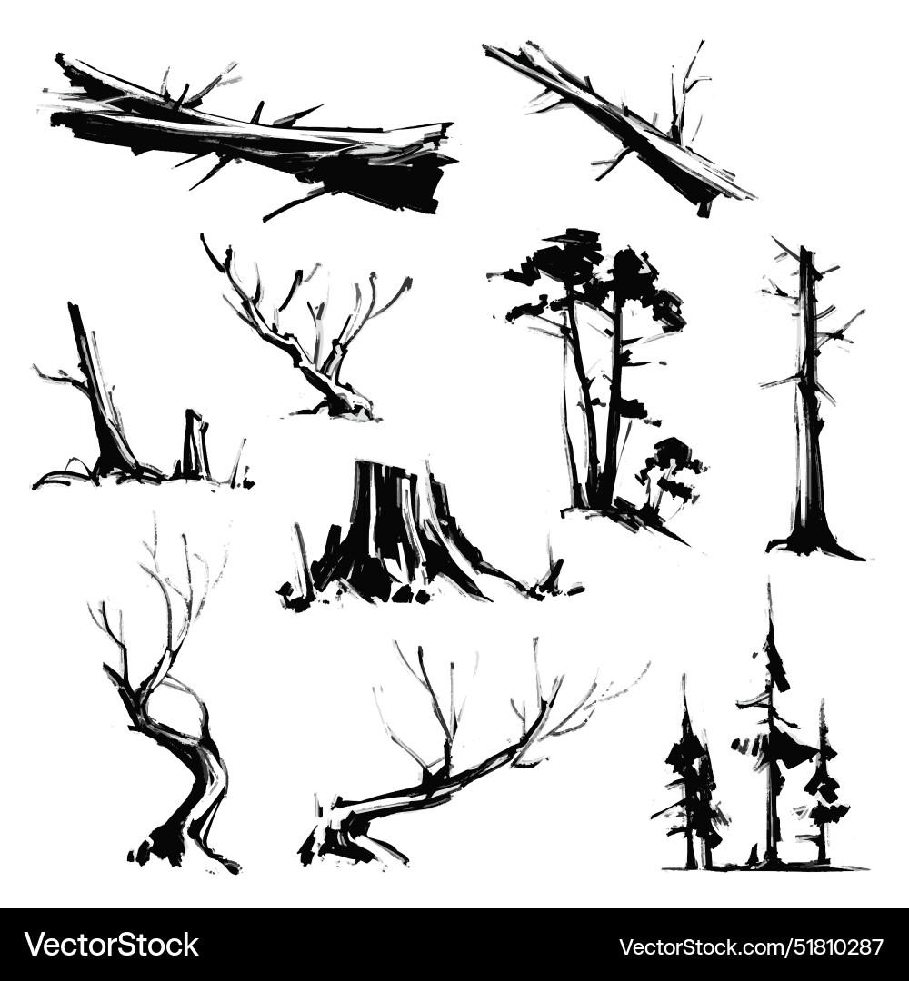 Dry and dead trees sketches Royalty Free Vector Image