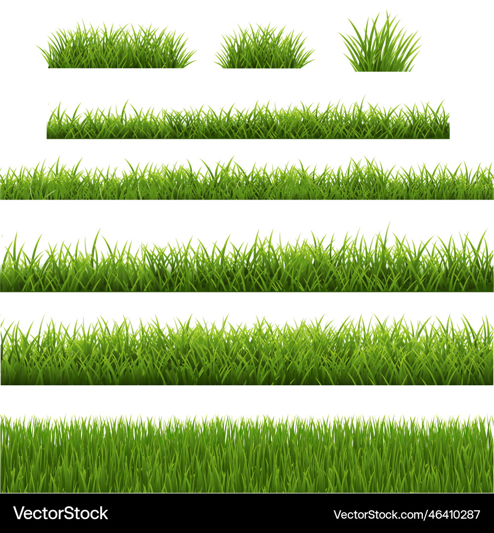 Grass border set and white background Royalty Free Vector