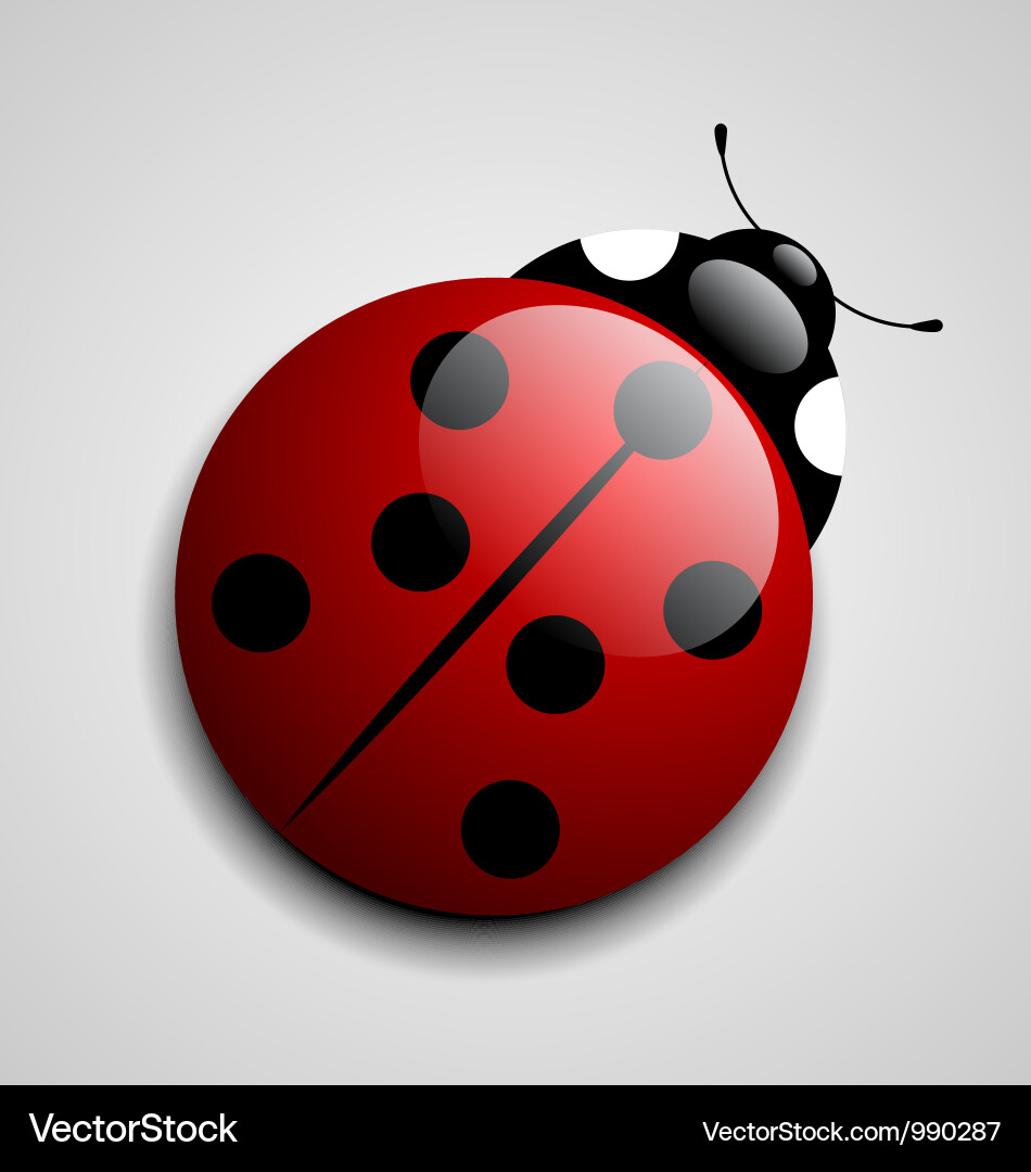 Vermilion Vector Images (over 650)