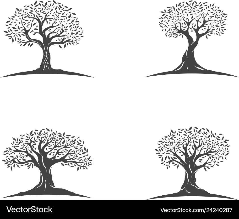 Olive tree Royalty Free Vector Image - VectorStock