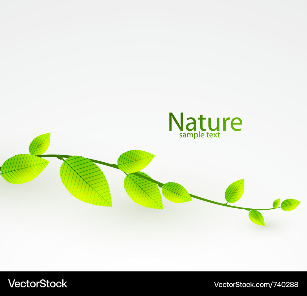 Fresh green leaves abstract background Royalty Free Vector