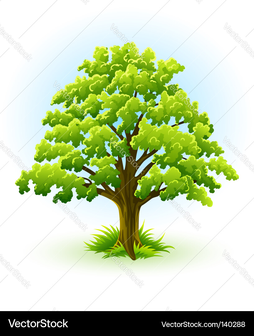 Tree Bole Ecology Vector Images (over 120)