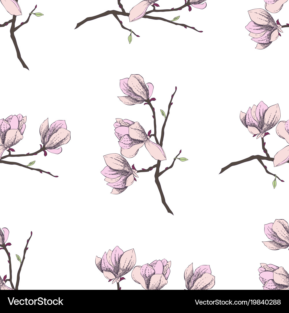 Seamless pattern with magnolia Royalty Free Vector Image