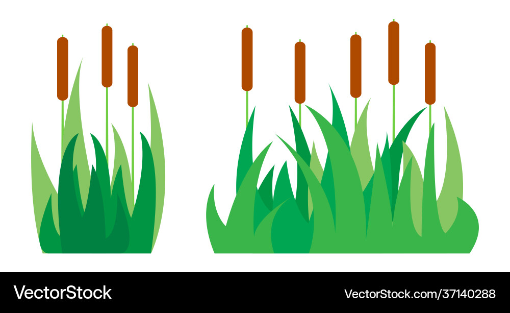 Set color images reeds in grass Royalty Free Vector Image
