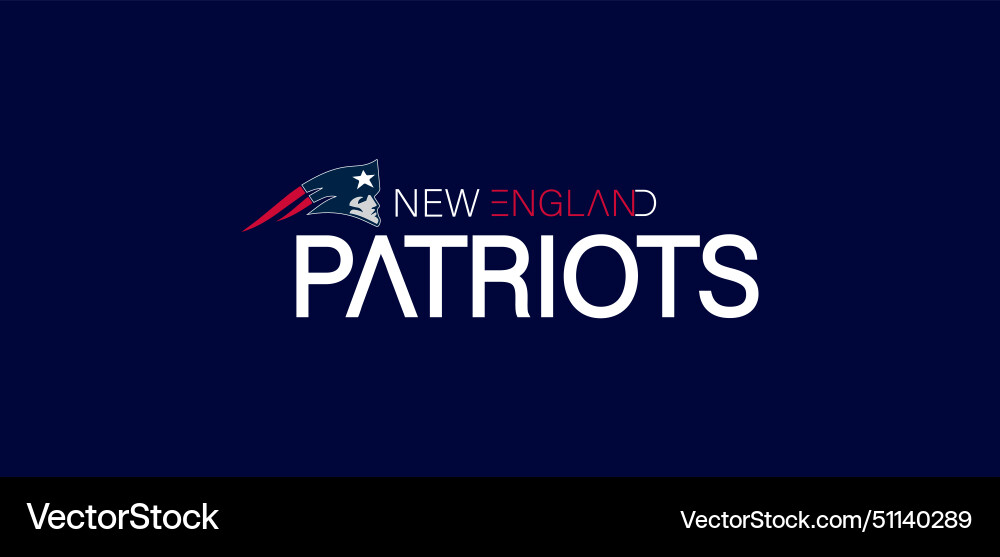 A visual tribute stunning design for new england Vector Image