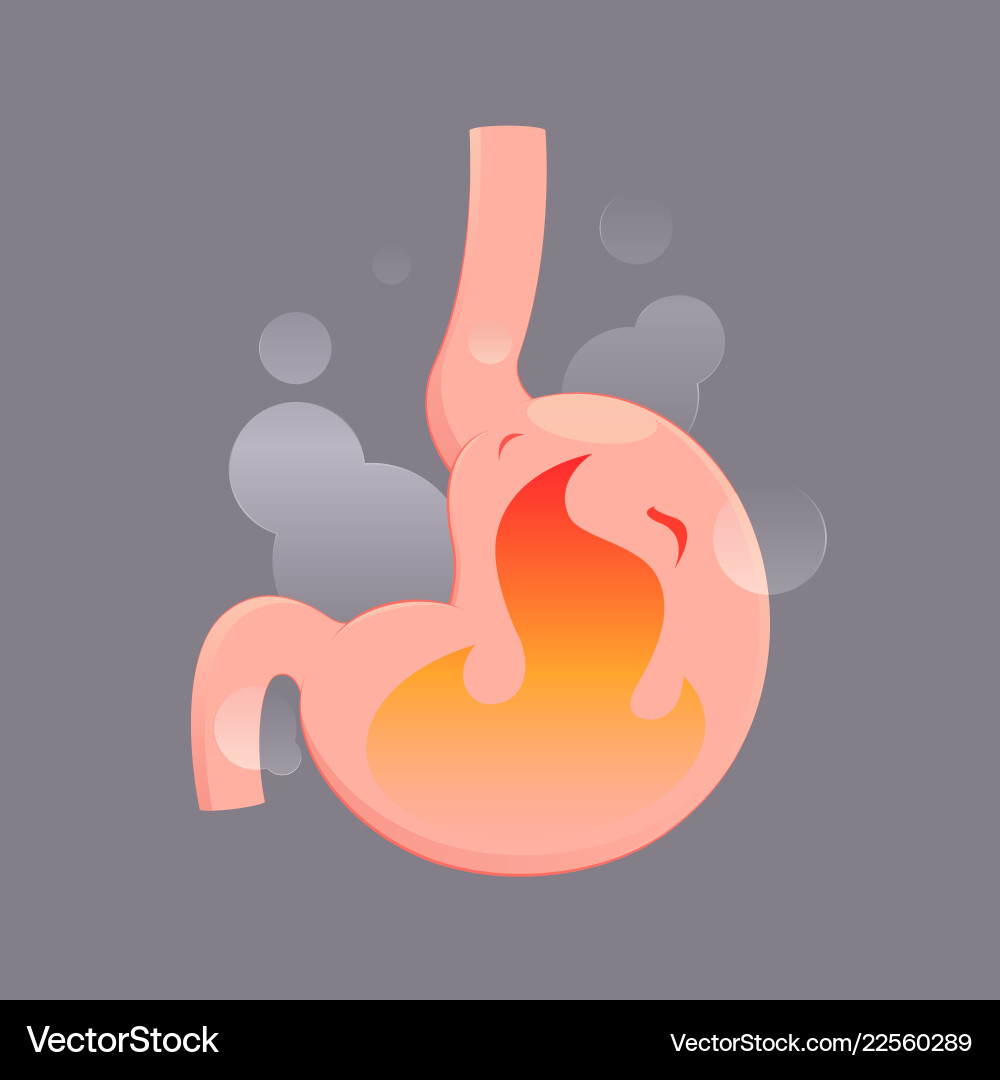 From acid reflux or heartburn cartoon Royalty Free Vector
