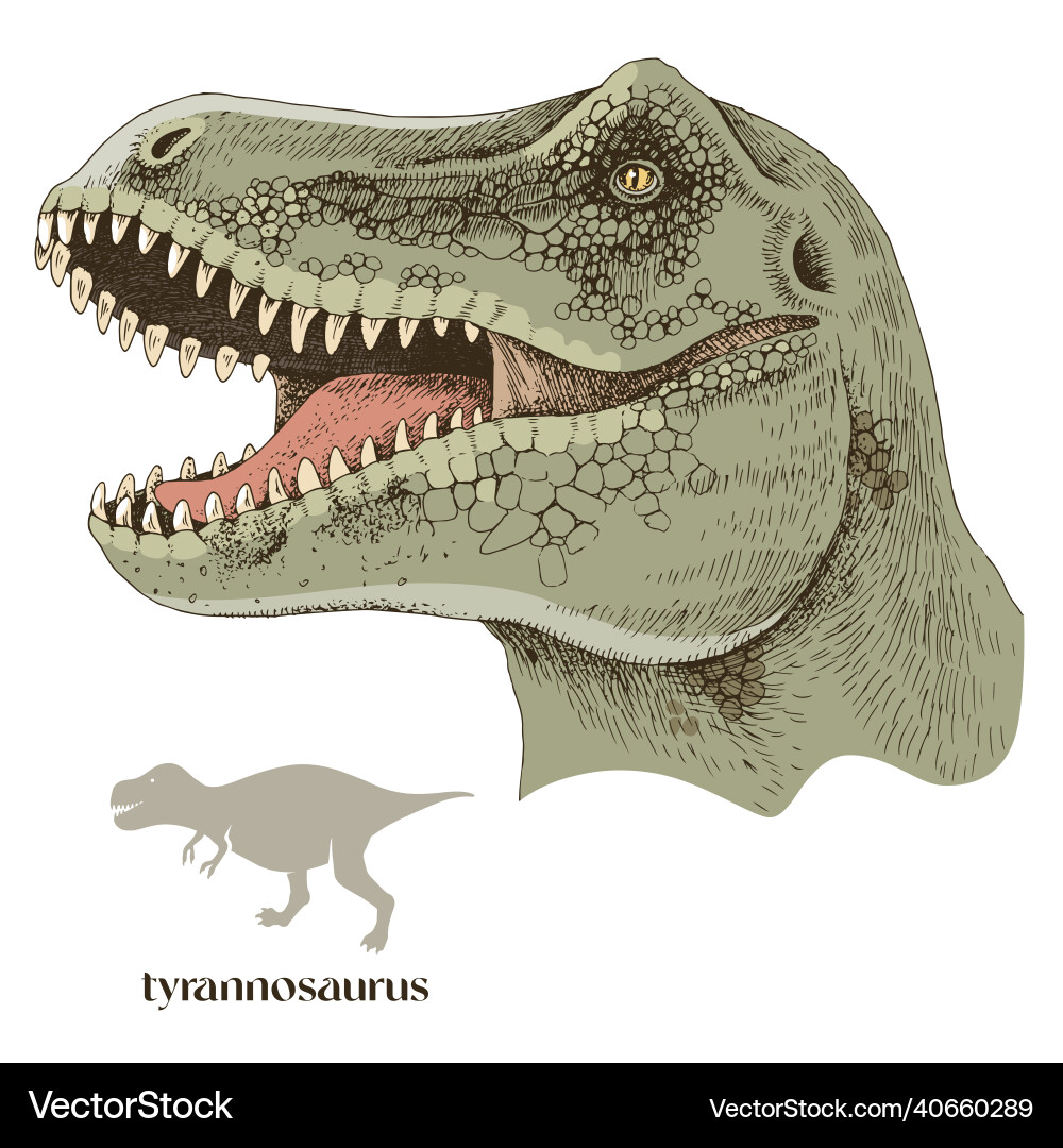 T Rex Dinosaur Head Template