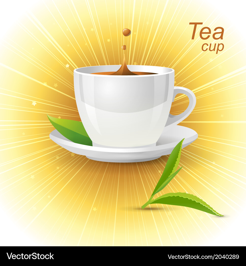 Realistic tea cup Royalty Free Vector Image - VectorStock