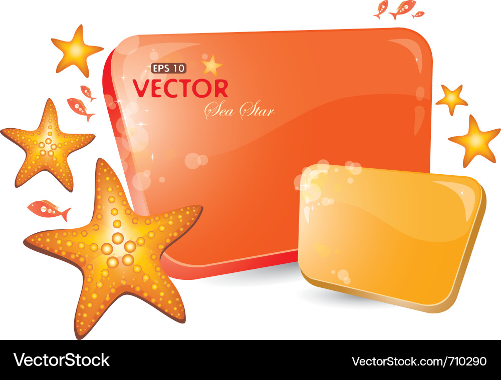 Sea-star Royalty Free Vector Image - VectorStock