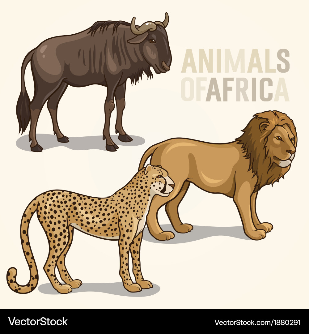 African Wildlife Set Royalty Free Vector Image