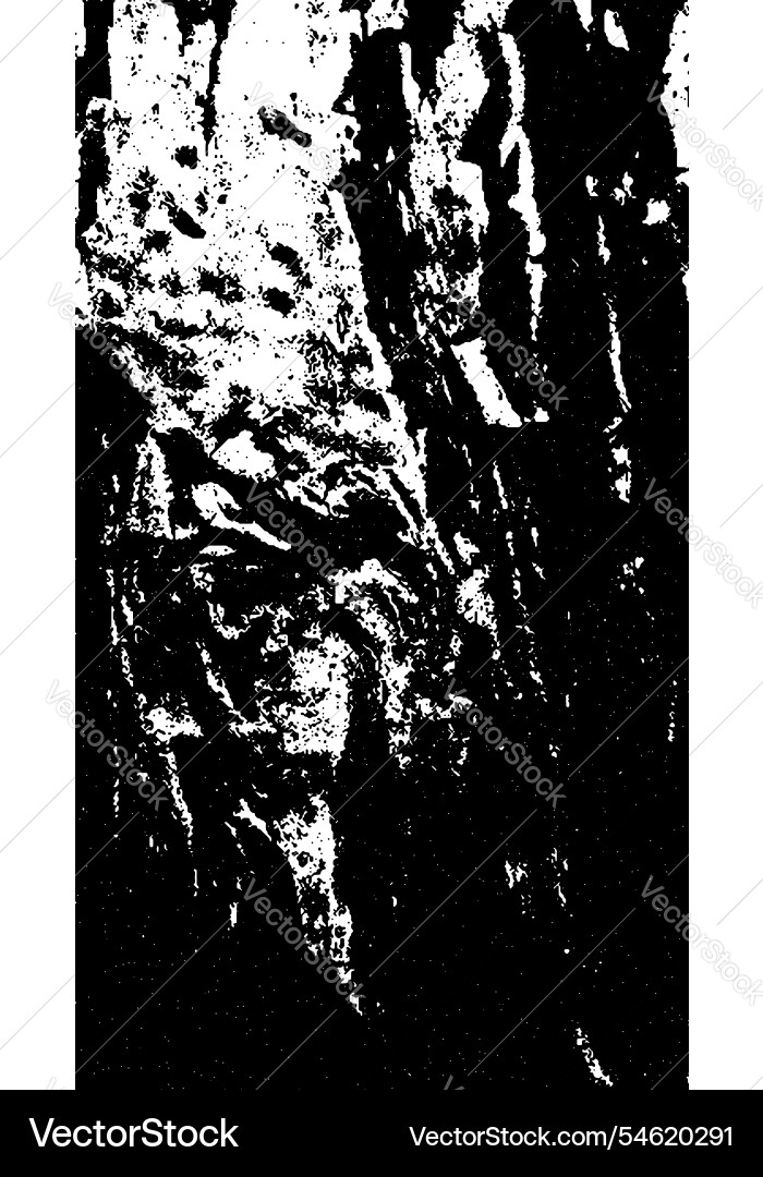 Black tree bark texture on a white Royalty Free Vector Image