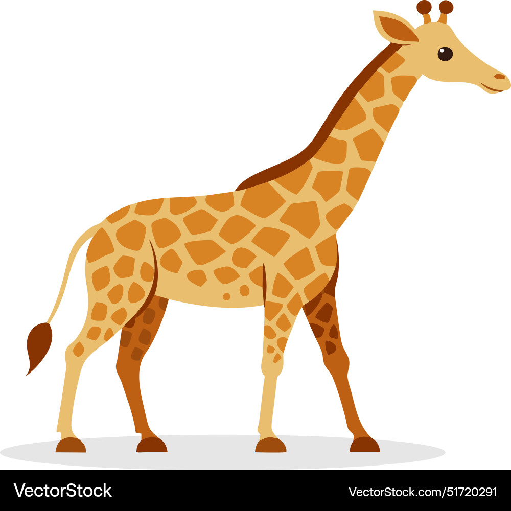 Giraffe animal flat vactor on white background Vector Image