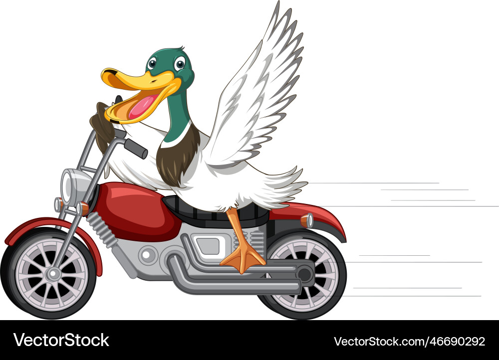 Duck riding motorcycle in cartoon style Royalty Free Vector