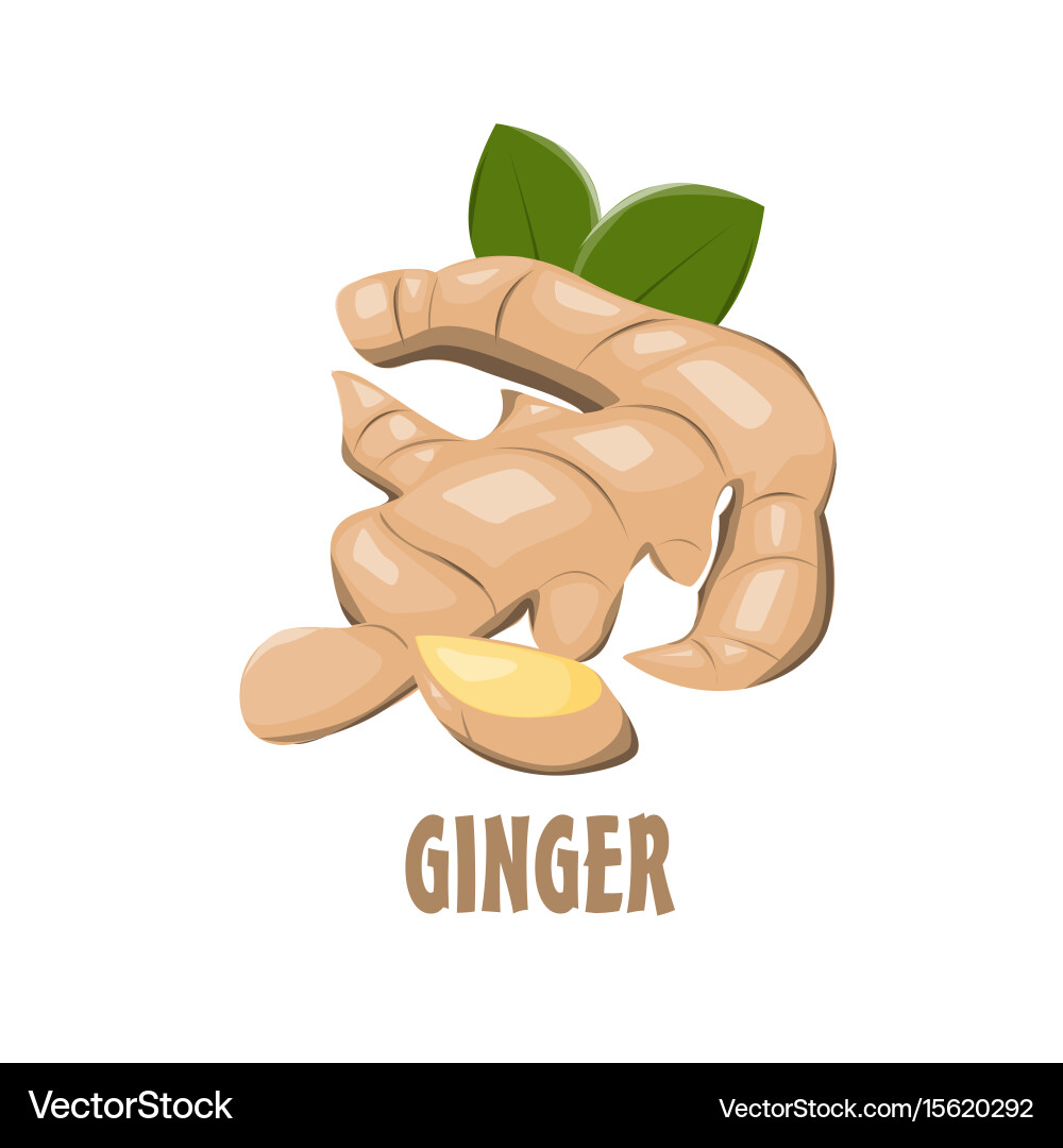 Logo ginger farm design Royalty Free Vector Image