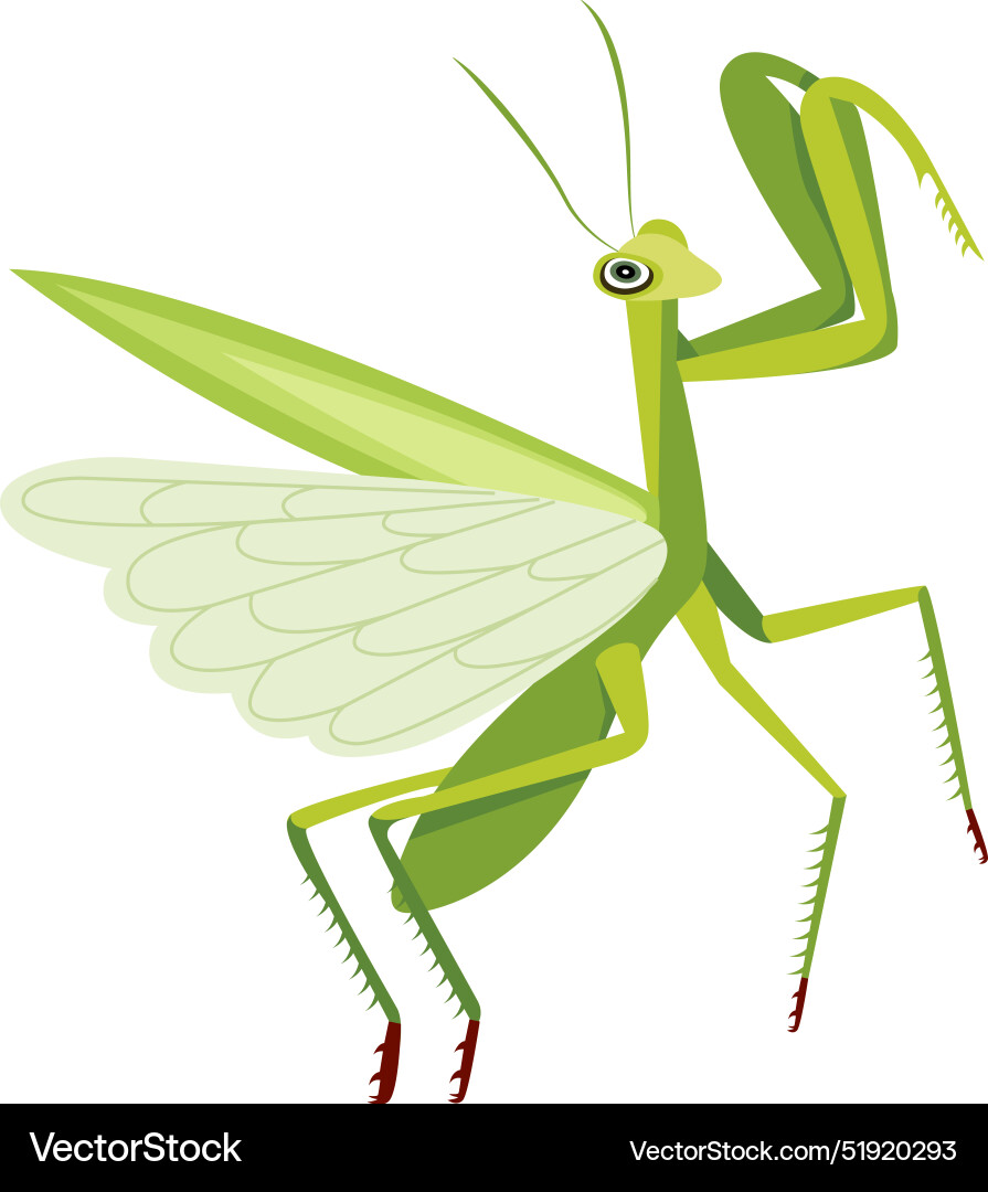 Webcute green mantis icon in flat style Royalty Free Vector