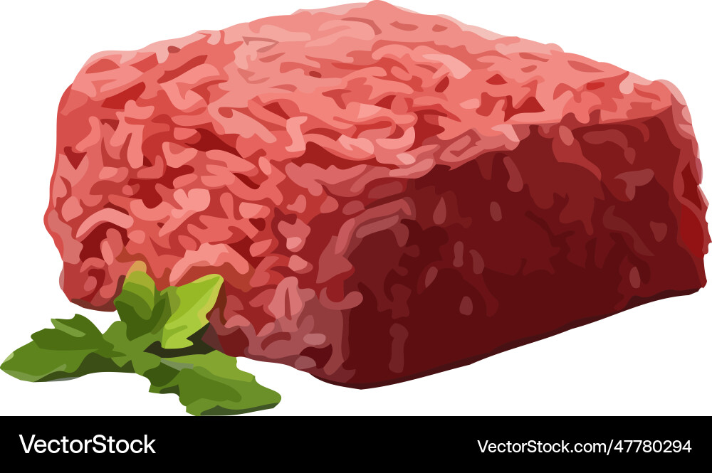 Freshly mincemeat with herb seasoning Royalty Free Vector