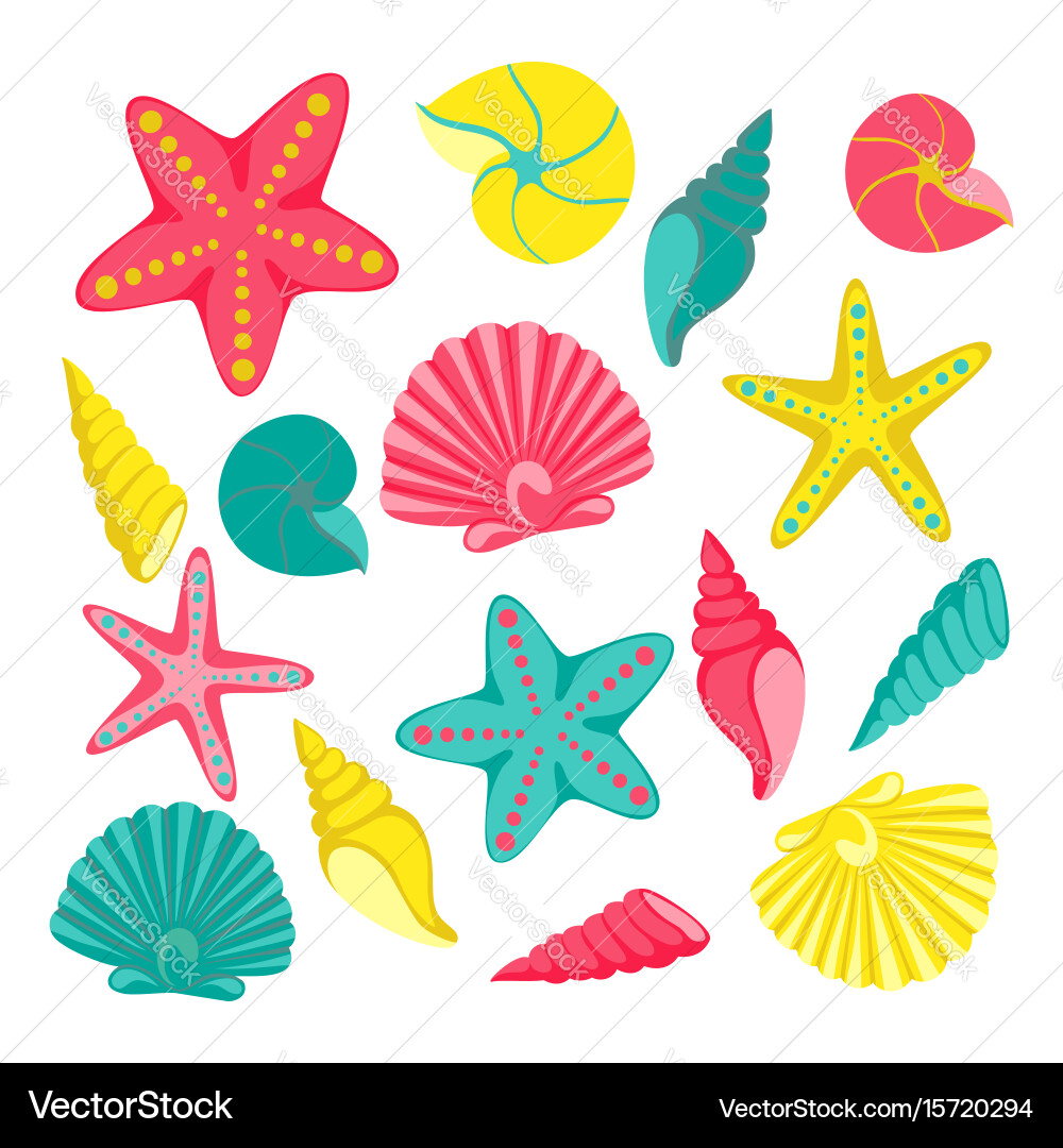 Seashells set design for holiday greeting card Vector Image